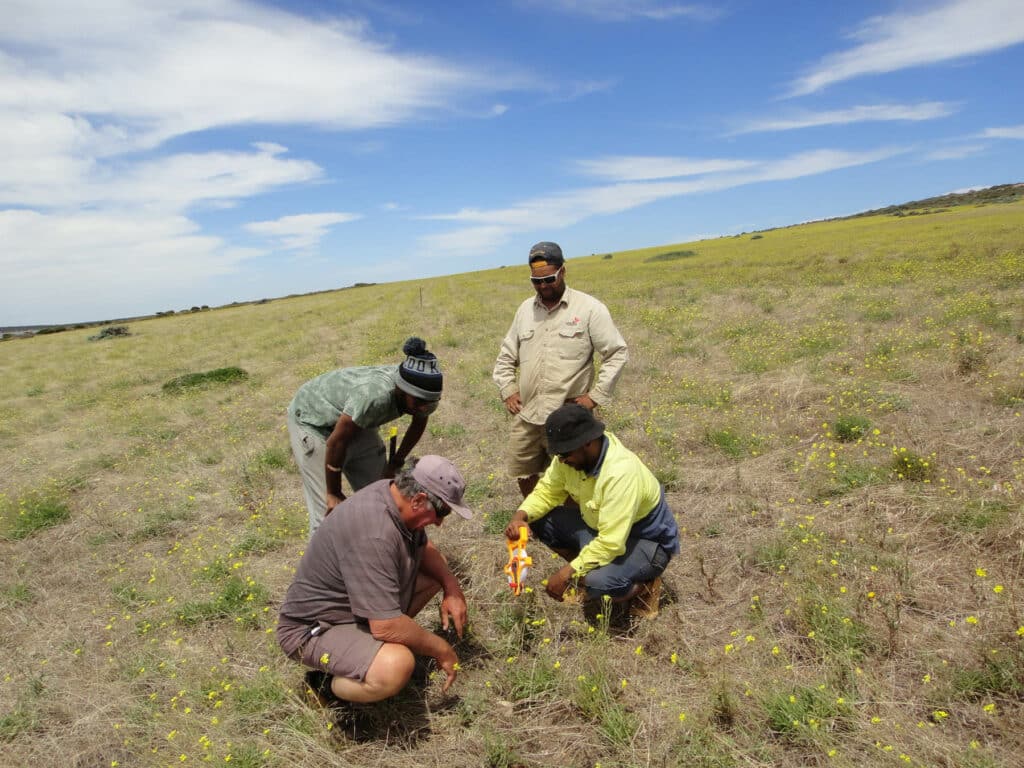 Regenerative Travel by Untamed Escapes