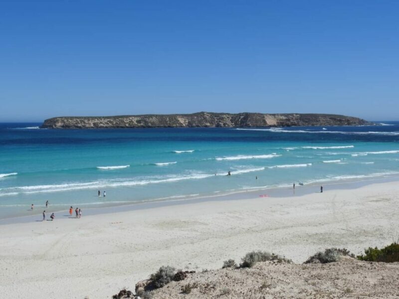 Things To Do in Coffin Bay - Untamed Escapes