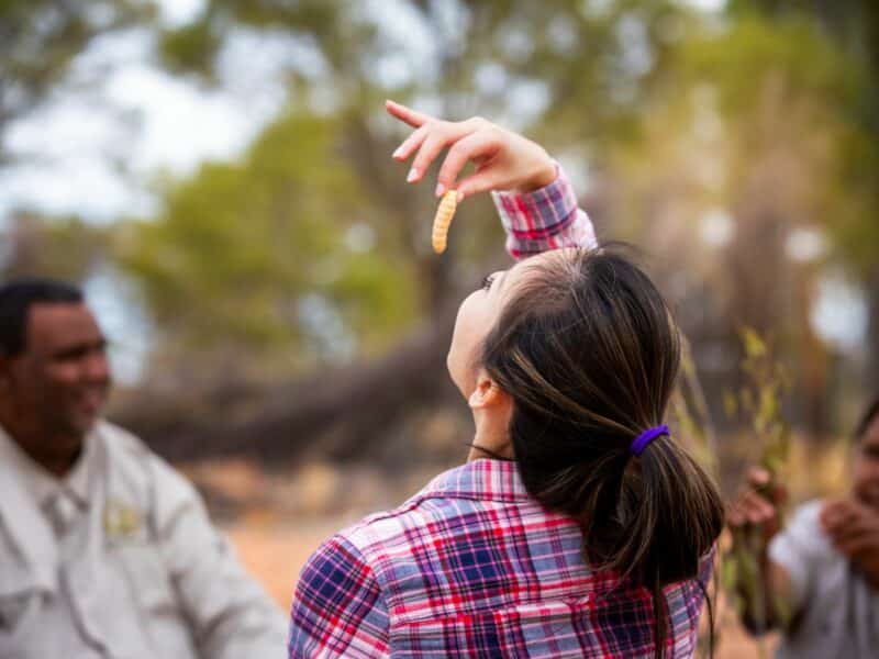 Adelaide to Uluru Tour | Camping Adventure to the Red Centre