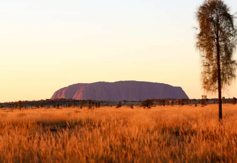 Adelaide to Uluru Tour | Camping Adventure to the Red Centre