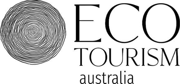 Untamed Escapes | Adventure, Wildlife, Wellness & Epicurean Experiences